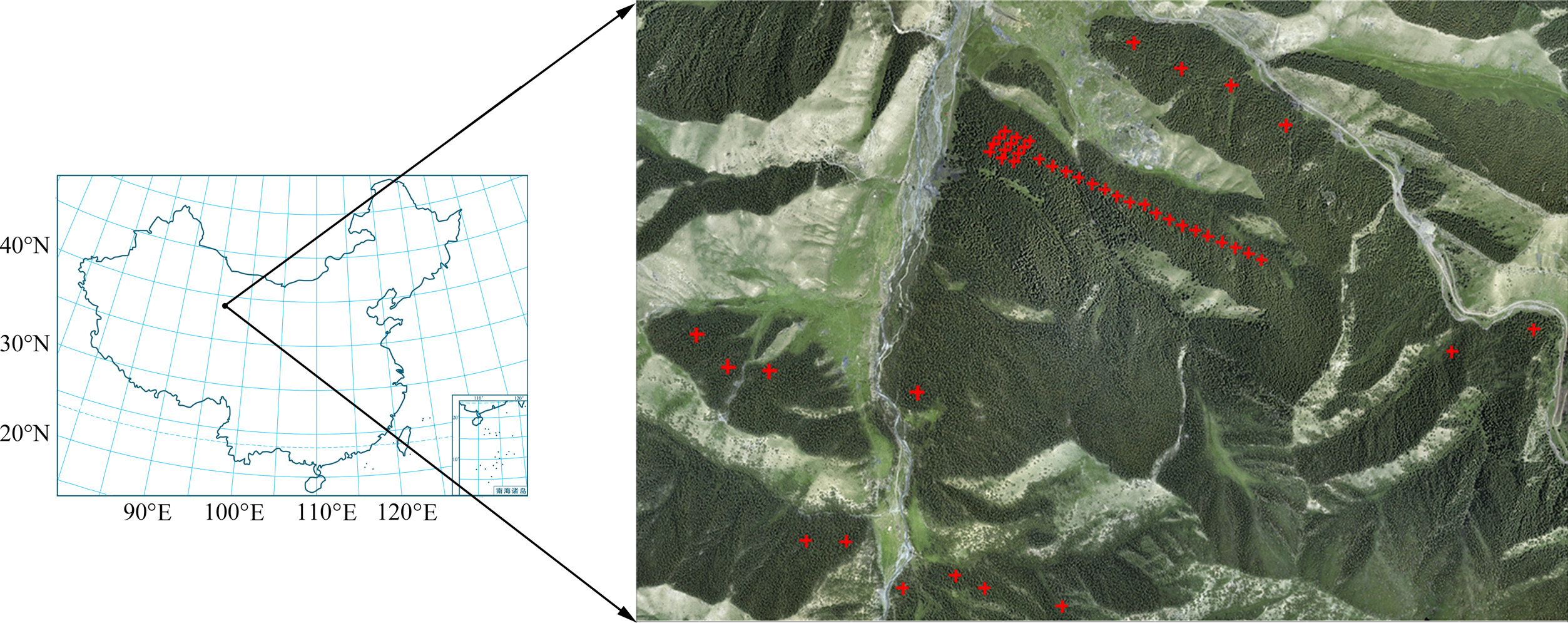 FOREST LEAF AREA INDEX (LAI) ESTIMATION USING AIRBORNE DISCRETE-RETURN ...