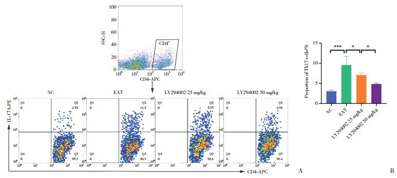 PI3K/AKT/mTOR信号通路通过调控Th17细胞分化参与EAT小鼠甲状腺自身免疫损伤