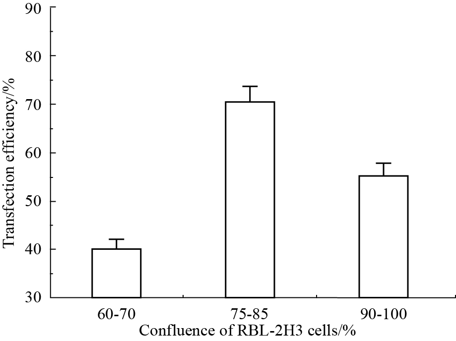 hFcεRIα/RBL-2H3细胞株的构建与评价