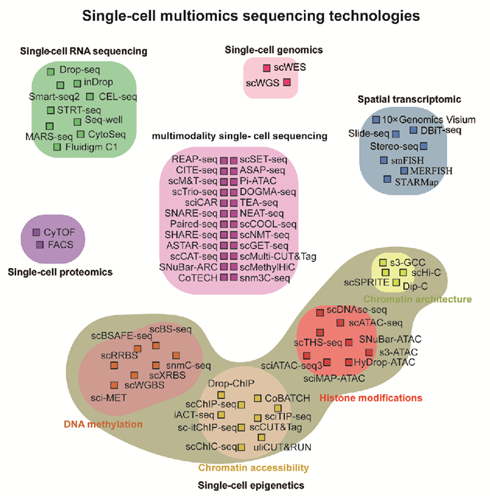 单细胞技术在药理学研究中的应用