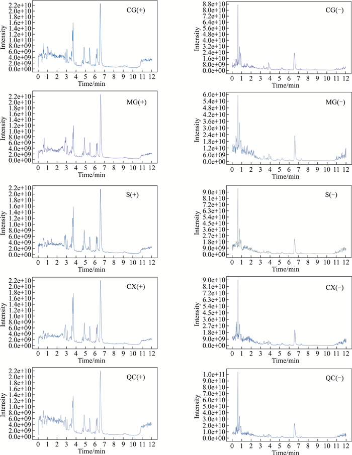 北苍术与朝鲜苍术健脾作用及机制研究