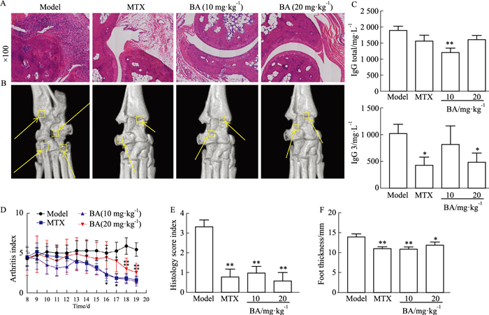 基于LiP-SMap药物靶点蛋白组学研究雪上一枝蒿甲素抗类风湿关节炎作用靶点