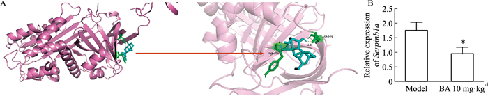 基于LiP-SMap药物靶点蛋白组学研究雪上一枝蒿甲素抗类风湿关节炎作用靶点