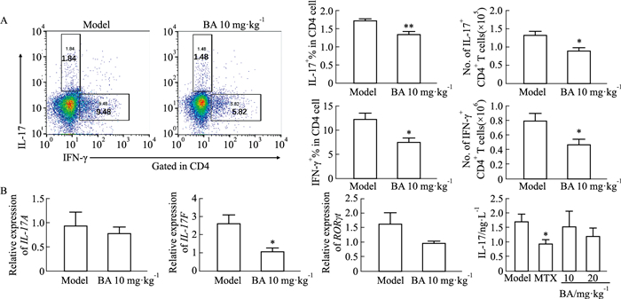 基于LiP-SMap药物靶点蛋白组学研究雪上一枝蒿甲素抗类风湿关节炎作用靶点