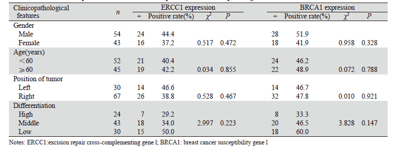 晚期结肠癌组织中ERCC1和BRCA1的表达与奥沙利铂方案化疗疗效及预后的关系