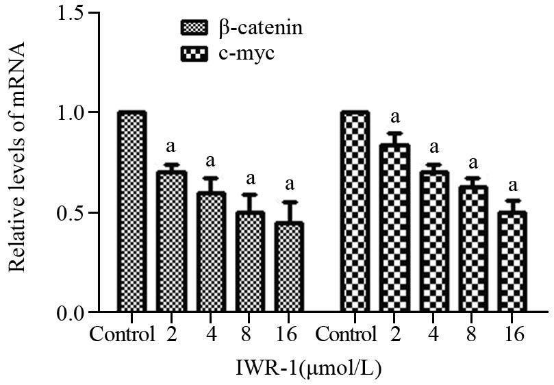 IWR-1对人肝癌细胞株Hep3B的增殖及Wnt/β-catenin信号通路的抑制作用