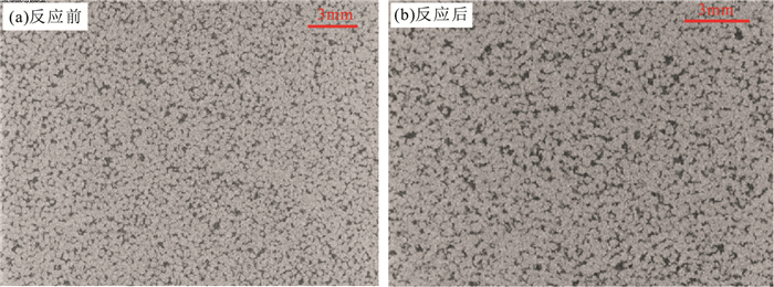 深层条件下碳酸盐岩溶蚀改造效应的模拟实验研究