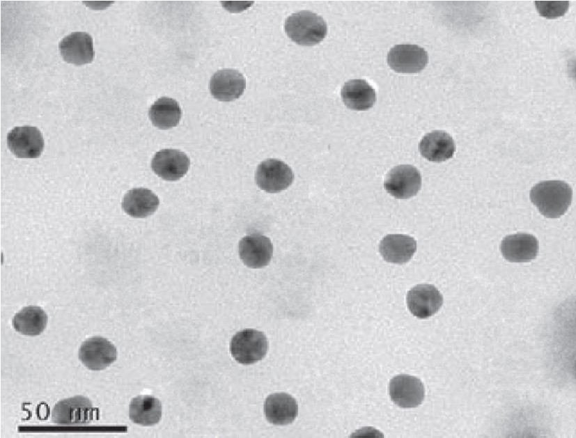 Electrochemical DNA nano-biosensor for the detection of genotoxins in ...