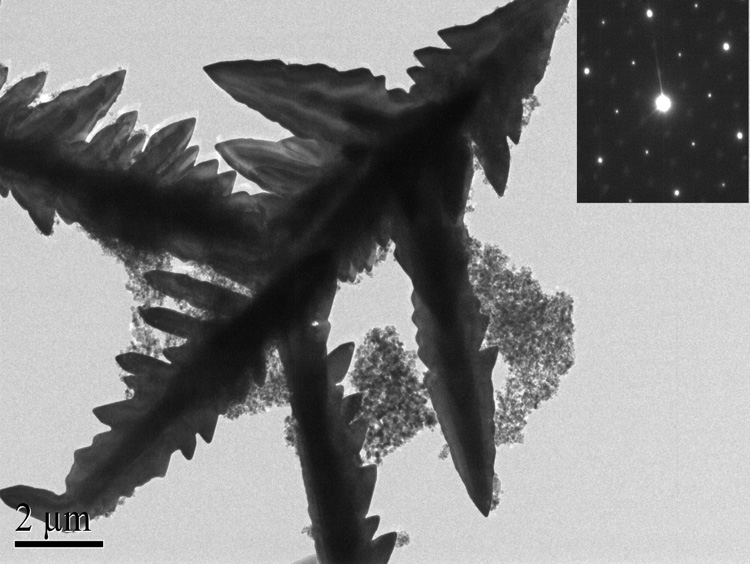 Hydrothermal synthesis of single-crystal CeCO 3 OH and their thermal ...
