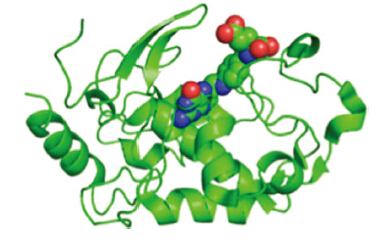 Folate binding protein-Outlook for drug delivery applications