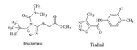 Synthesis and biological evaluation of novel 1,2,4-triazole containing ...