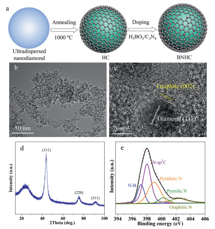 Fig. 1. (a) Schematic illustration of BNHC preparation, (b, c) TEM ...