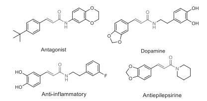 Fig. 1. Selective examples of bioactive linear α , β -unsaturated amides.