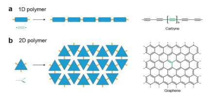 Fig. 1. Different topologies of polymers. (a) A hypothetical linear ...