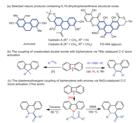 Scheme 1. Transition-metal catalyzed C—C functionalization of biphenylene.