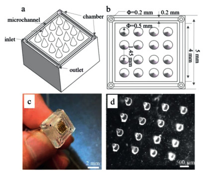 Fig. 1. Schematic of microfluidic/microelectrode composite microdevice ...