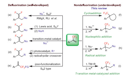 Scheme 1. Typical defluorination and fluorine-retentive reaction.