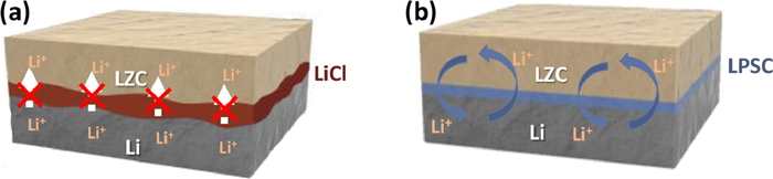 Scheme 1. Schematic illustration showing (a) pure LZC and (b) LPSC-LZC ...
