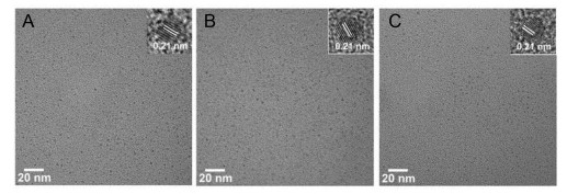 Fig. 3. TEM images of (A) G-CDs, (B) Y-CDs and (C) R-CDs, with their ...