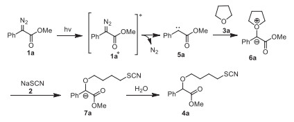Scheme 5. Possible reaction pathway.