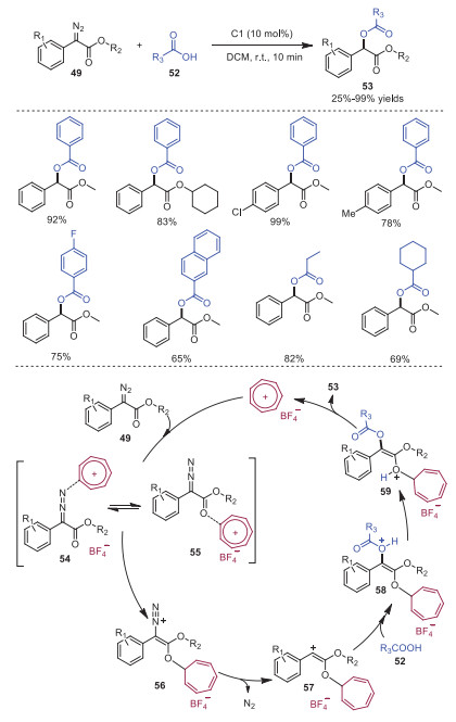 Scheme 11. Synthesis of α -functionalized esters.