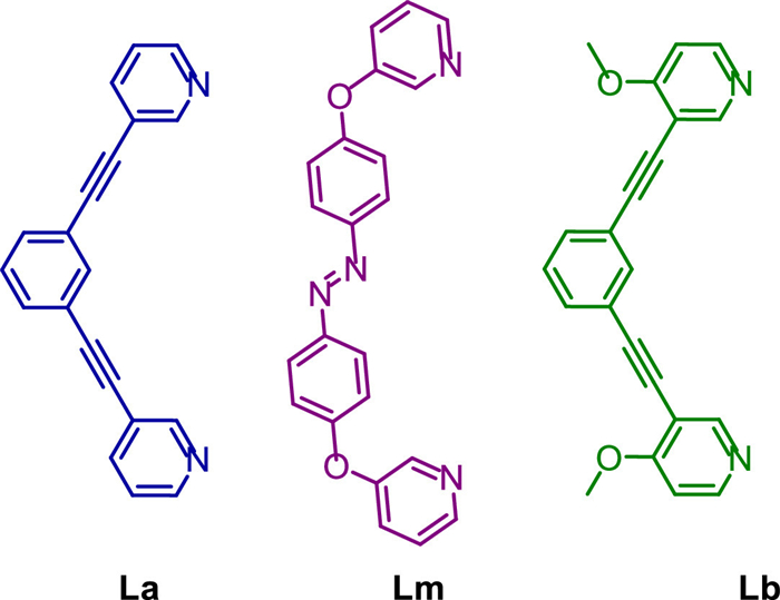 Fig. 2. Structures of the ligands used in this study.