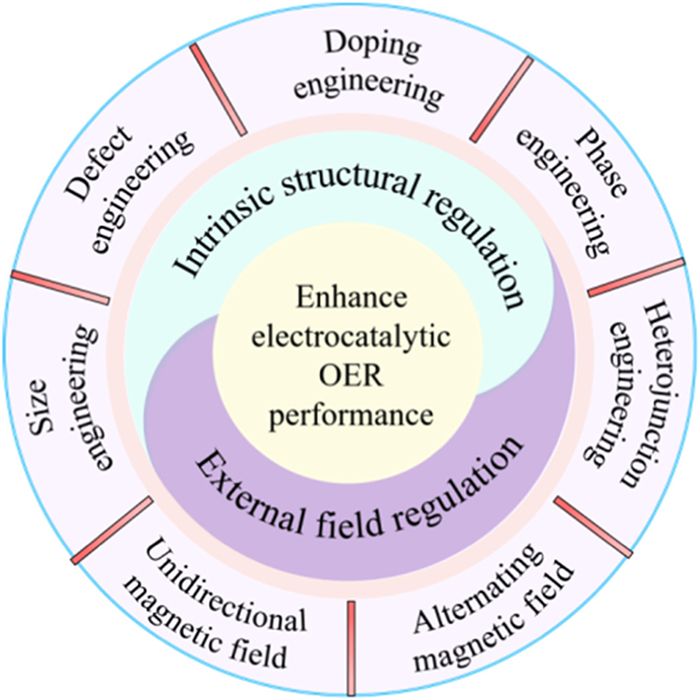 Fig. 1. Various strategies to improve TMDs electrocatalytic OER.