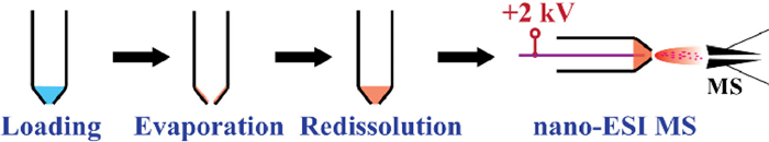 Fig. 1. Schematic diagram of the ER-nano-ESI MS for the analysis of ...