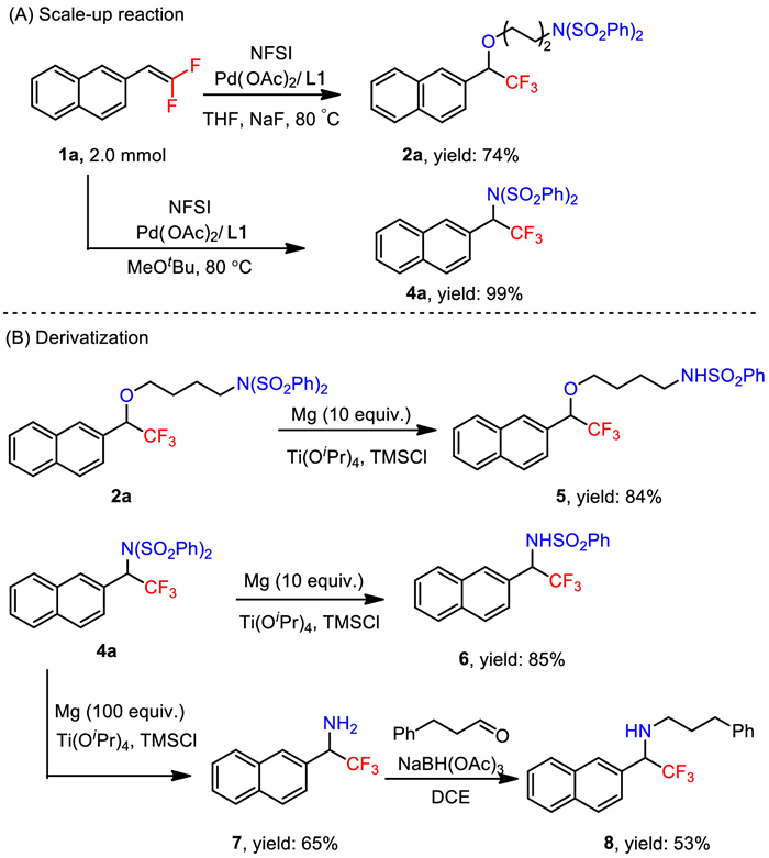 Scheme 5. Scale-up reaction and derivatization.