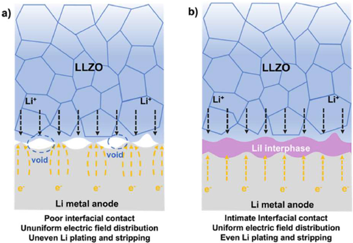 Fig. 1. Schematic illustrations of the (a) pristine LLZO/Li, and (b) I ...