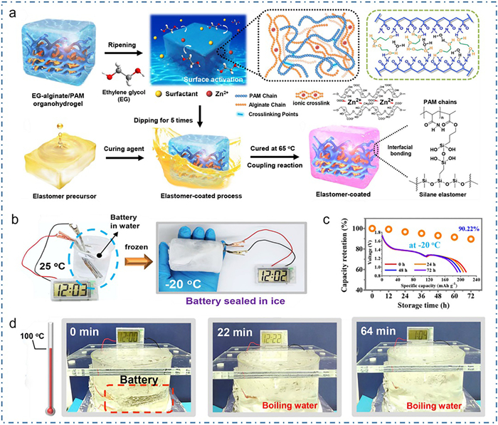 2.3.3. Summary of chemical crosslinking of polymer