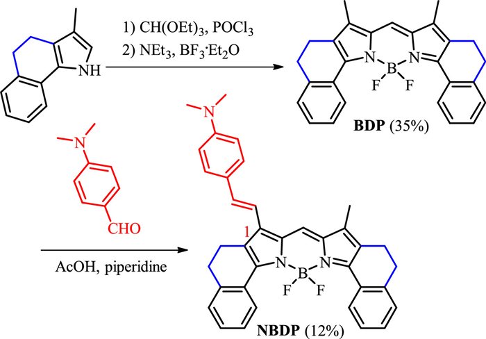 Scheme 1. Synthesis of NBDP generated by phenyl[ b ]-fused BDP