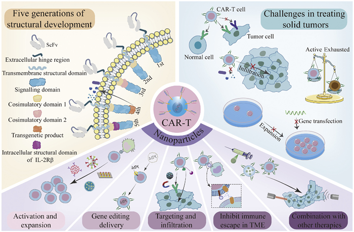2. CAR-T therapy