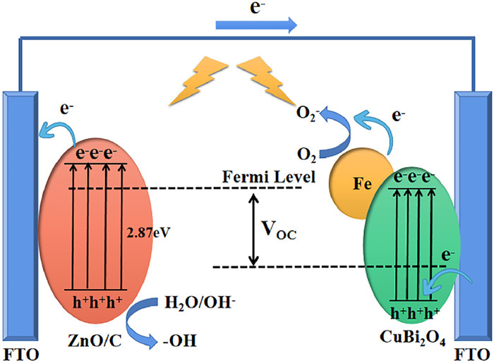 Scheme 1. Mechanism of the self-powered photoelectrochemical sensor system.
