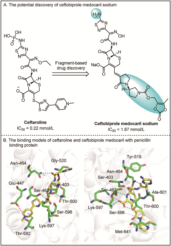 2.3. Sulopenem etzadroxil and probenecid (Orlynvah Ⓡ )